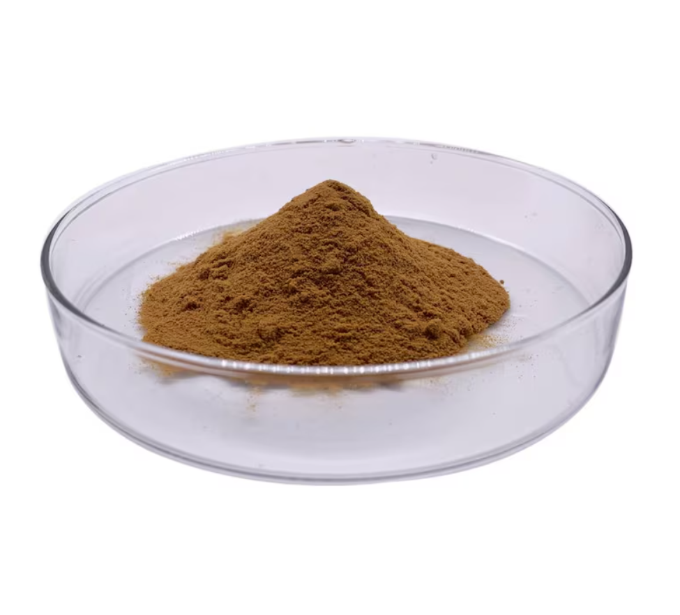 Akuamma Seed Extract 10:1 – The Dream Joint